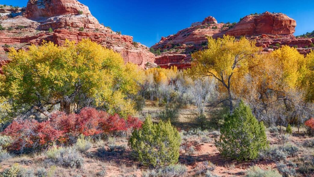 Explore Nickelodeon Universe Theme Park: Rides, Attractions, and Family ...