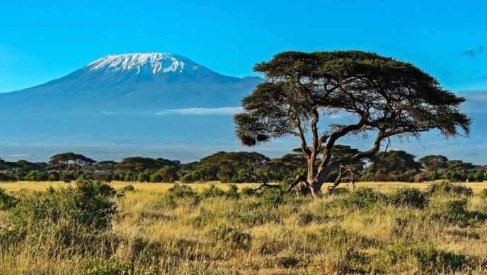 Things to Do in Kenya: Safari Adventures, Cultural Experiences, and ...